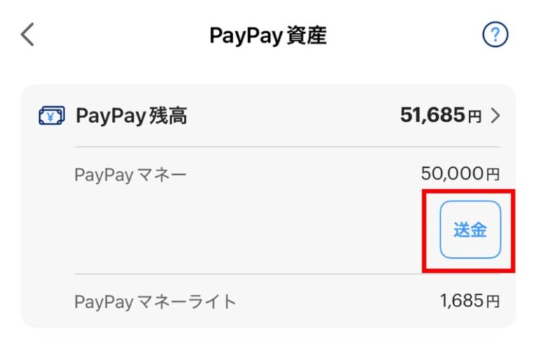 【PayPay】赤と青の違いは？メリット6選・デメリット4選 | こがねとポイ活で月1万円稼ぐブログ